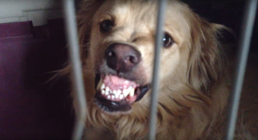 HELLO - The Hundreds