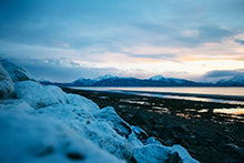 Homer With the Homies - The Hundreds